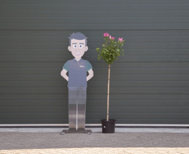 Op zoek naar de perfecte boom voor in de voortuin?