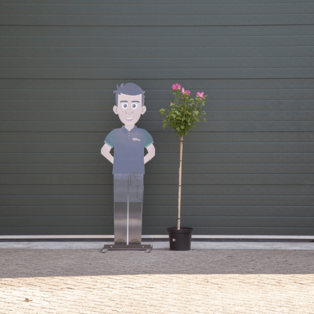 Bomen voor de voortuin